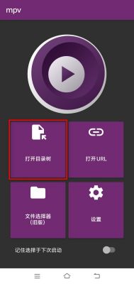安卓视频播放器（支持srt、ass等外部字幕）应用：mpv、Next Player_手机APP讨论区_手机区 卡饭论坛 - 互助分享 - 大气谦和!
